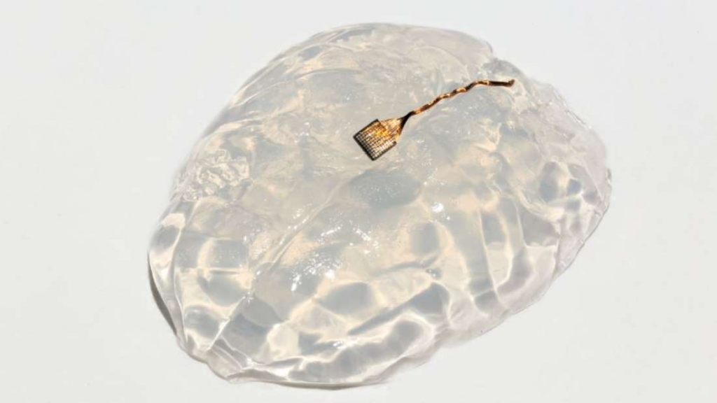 Paralyzed Monkeys Walk Again Thanks To Brain Implant | IFLScience – Ink ...